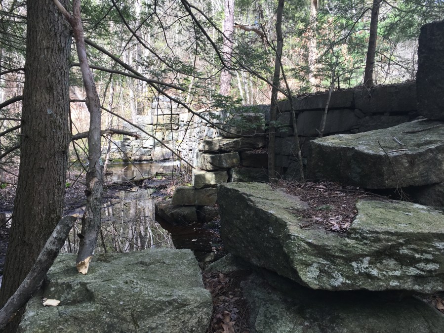 Shoddy Mill Preserve – Lost Glastonbury