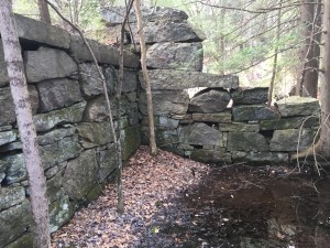 Shoddy Mill Preserve – Lost Glastonbury