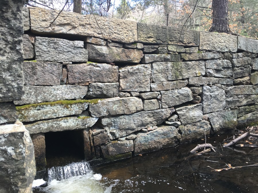 Shoddy Mill Preserve – Lost Glastonbury