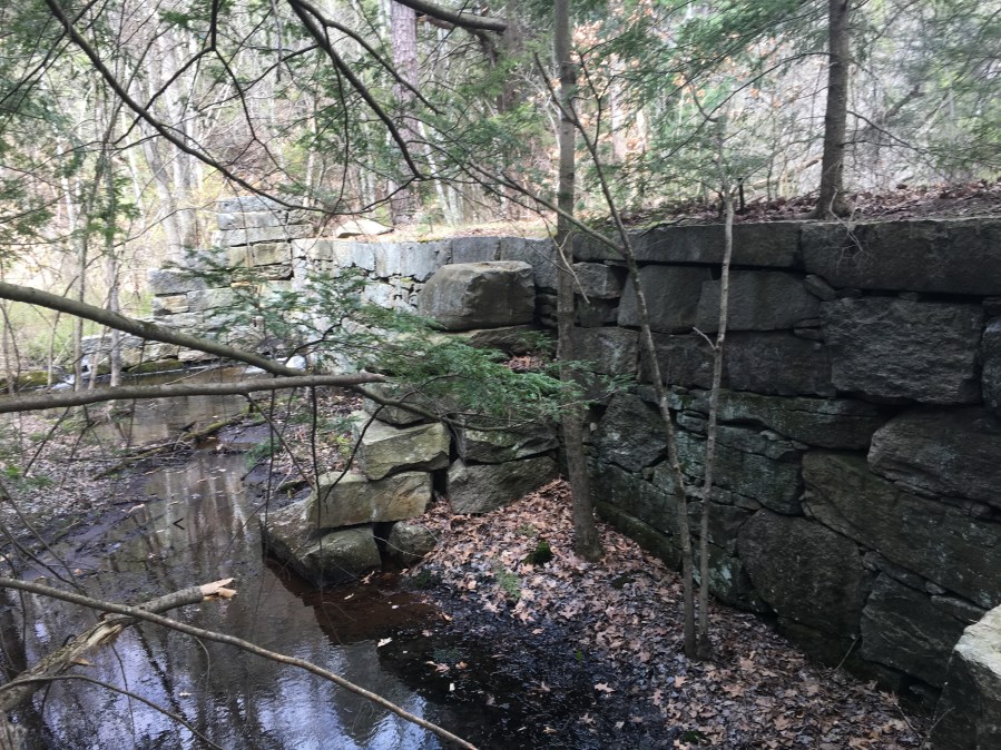 Shoddy Mill Preserve – Lost Glastonbury