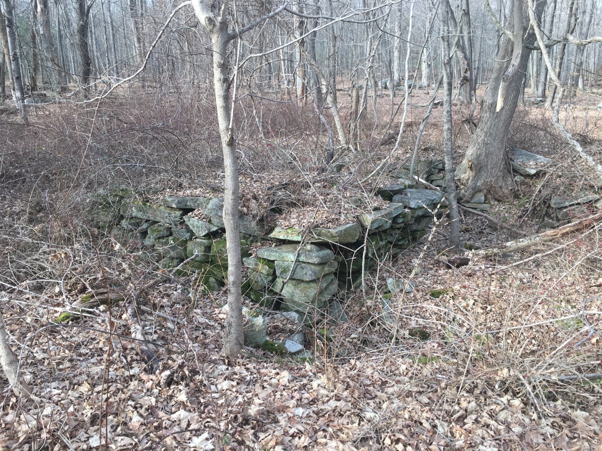 I. Goslee House – Lost Glastonbury