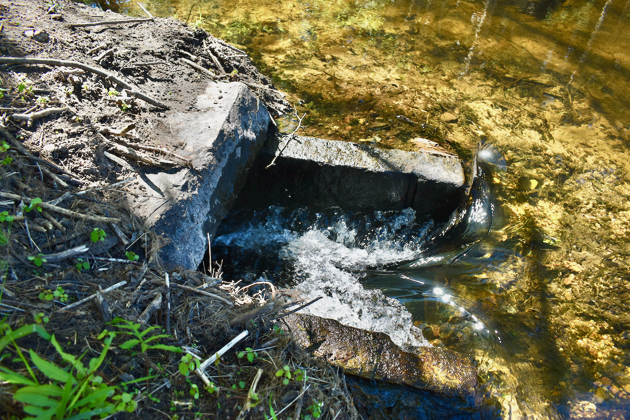 Shoddy Mill Preserve – Lost Glastonbury