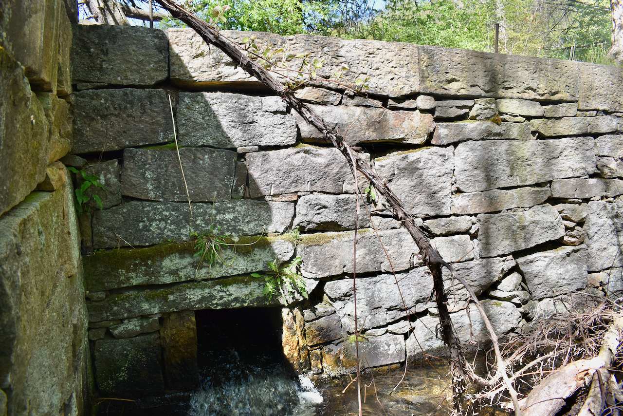 Shoddy Mill Preserve – Lost Glastonbury