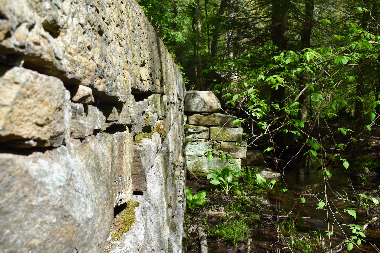 Shoddy Mill Preserve – Lost Glastonbury
